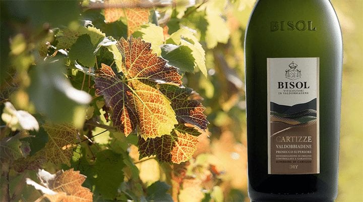 bisol-vineyard – Glass Of Bubbly