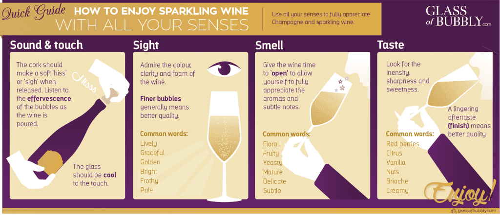 How to Taste Champagne & Sparkling Wine Like a Pro – Glass Of Bubbly