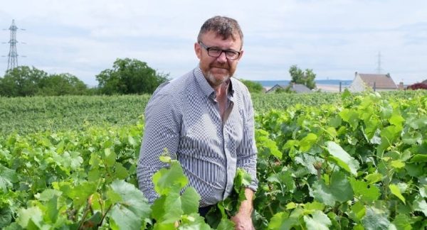 A visit to Champagne Pierre Trichet – Glass Of Bubbly