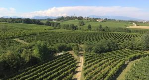 A visit to Malibran Prosecco – Glass Of Bubbly