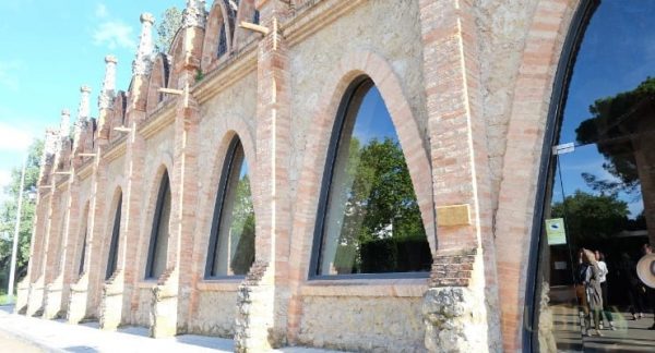A visit to Cava Codorniu – Glass Of Bubbly