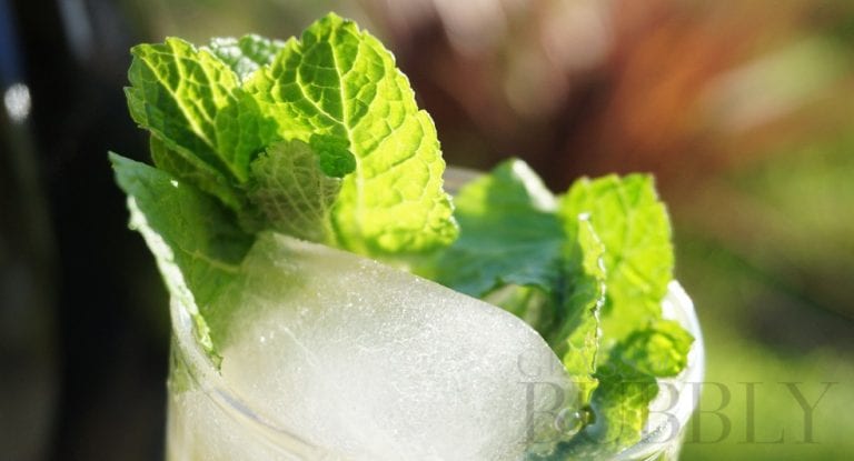 The Ultimate Fizz Cocktail Guide – Glass Of Bubbly