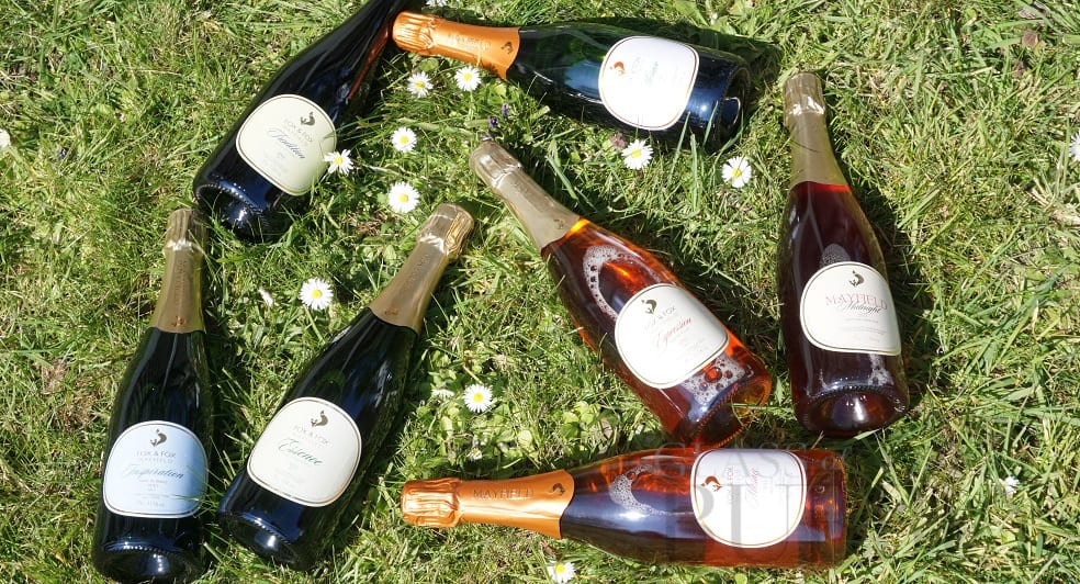 Fox & Fox – Award Winning English Sparkling Wine – Glass Of Bubbly