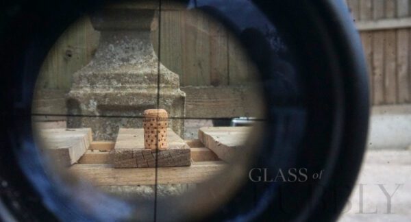 Fun Things To Do With Champagne Corks – Glass Of Bubbly