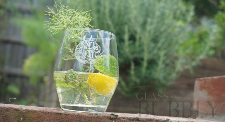 Bewitching Cocktail – Glass Of Bubbly