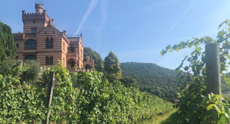 Erbamat, The Fourth Grape of Franciacorta – Glass Of Bubbly