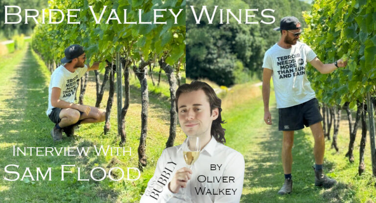 Bride Valley Wines – Interview With Sam Flood – Glass Of Bubbly