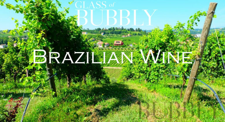 Brazilian Wine – Glass Of Bubbly