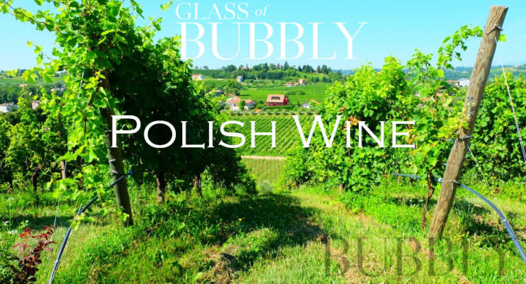 Polish Wine – Glass Of Bubbly
