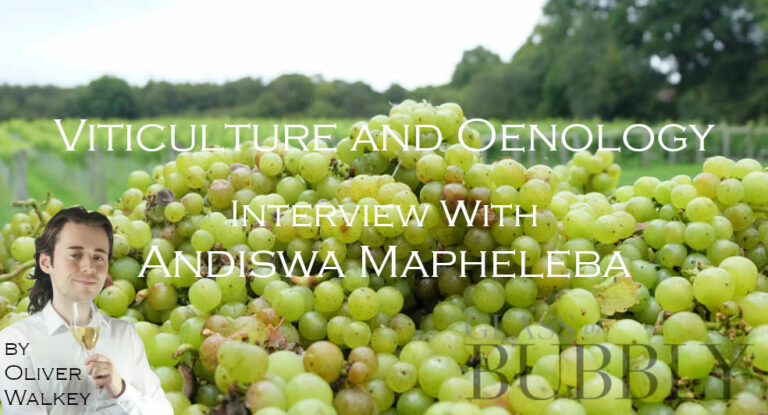 Viticulture and Oenology – Interview With Andiswa Mapheleba – Glass Of ...