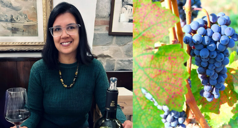 Made in Brazil: Why You Should Try Brazilian Sparkling Wines – Glass Of ...